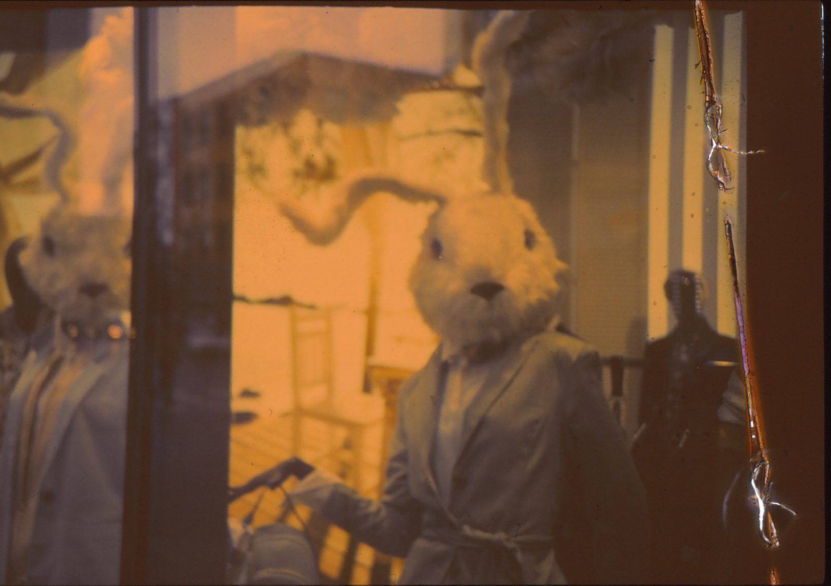 follow the white rabbit ⋆ texas and glory